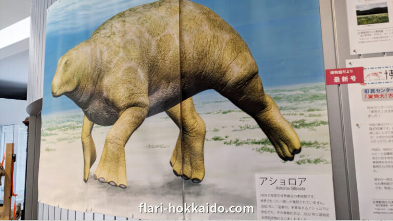 足寄動物化石博物館フォストリーあしょろのクチコミ！ミニ発掘体験が楽しい！