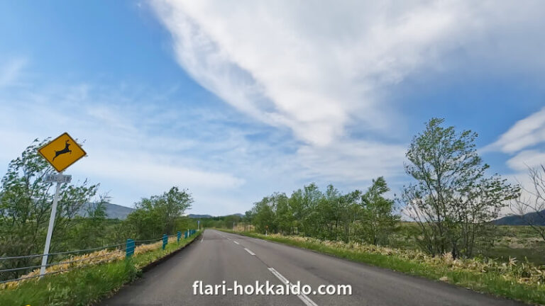 ナイタイ高原牧場レビュー！日本一広い牧場の広大な緑のじゅうたんが美しい