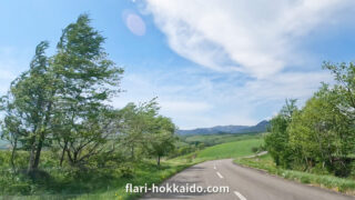 ナイタイ高原牧場レビュー！日本一広い牧場の広大な緑のじゅうたんが美しい